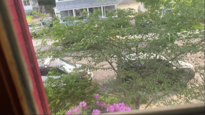 FOIA Request Report: Quincy Police CAD Incident Report for May 30, 2024 ...